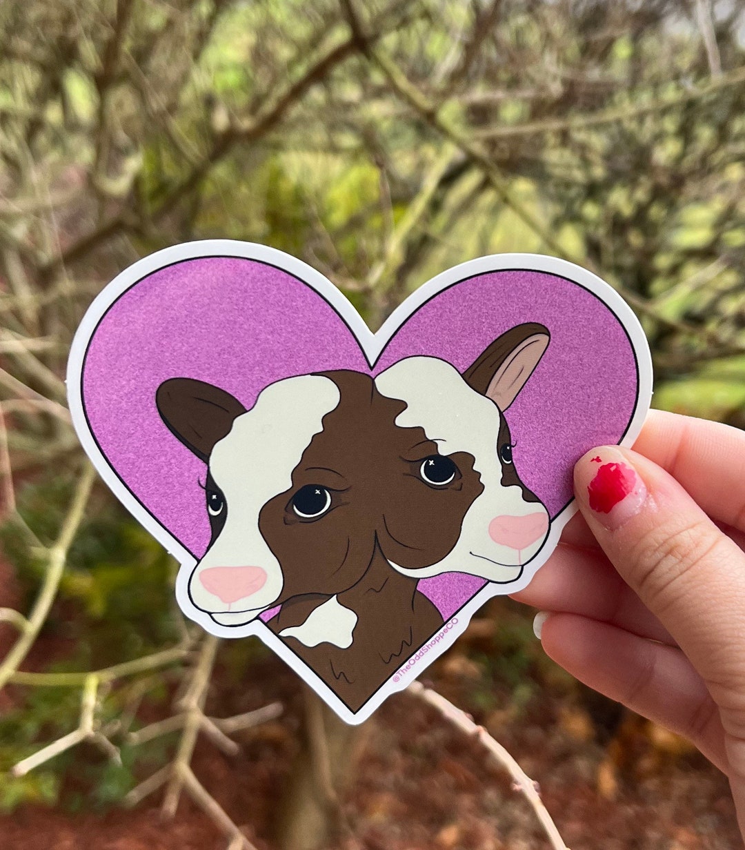 Two Headed Cow Sticker | Two Head Calf Vinyl Sticker | Two Heifer ...
