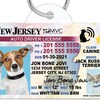 Texas Driver Dog Id Tag Personalized License, Durable Dog Tag, Double ...