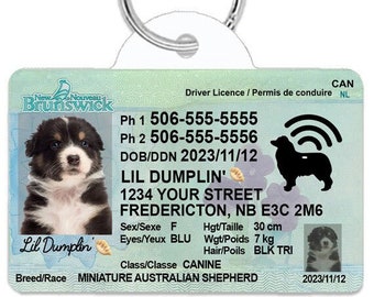 Maryland Driver License Custom Pet ID Tags Personalized Dog Tags Unique ...