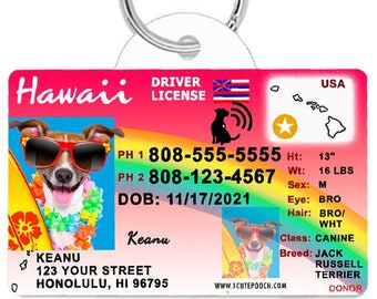Do You Need A Dog License In Ontario