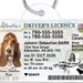 Prince Edward Island Driver License Custom Pet ID Tags - Etsy