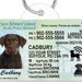 California Driver Dog Id Tag Personalized License, Durable Dog Tag ...