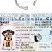 California Driver Dog Id Tag Personalized License, Durable Dog Tag ...