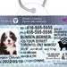 California License Plate Custom Pet ID Tag Dog ID Tag Personalized Pet ...