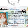 Texas Driver Dog Id Tag Personalized License, Durable Dog Tag, Double ...