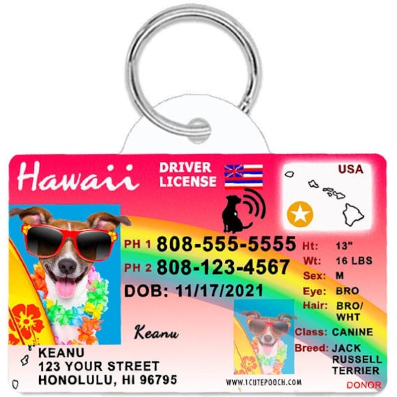Hawaii Driver - Etsy