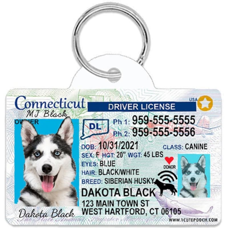 Dog Driver License - Etsy