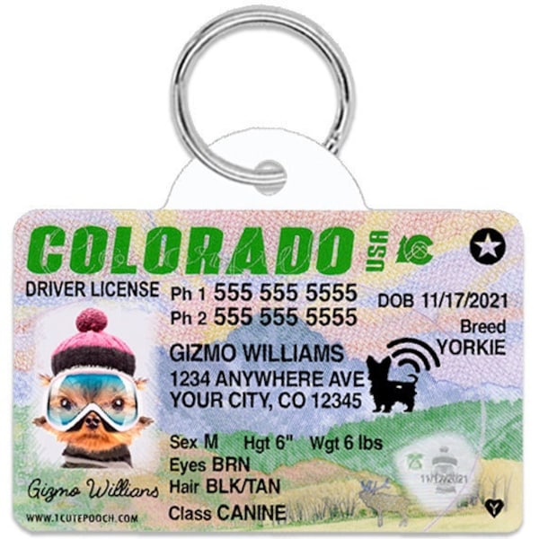Funny Fake License - Etsy