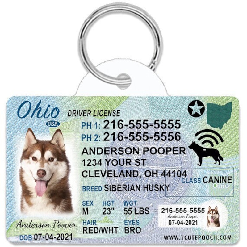 Ohio Id Template - Etsy
