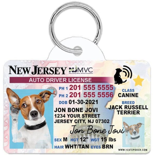 Dog Driver License - Etsy