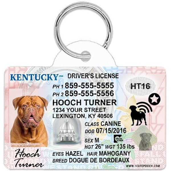 Dog Driver License - Etsy