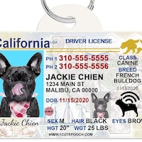 California Driver Dog Id Tag Personalized License, Durable Dog Tag ...