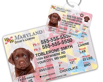 Cat driver license | Etsy