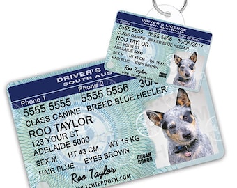 Dog license tag | Etsy