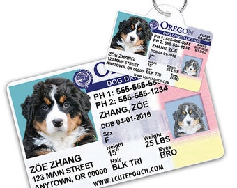 Dog license tag | Etsy
