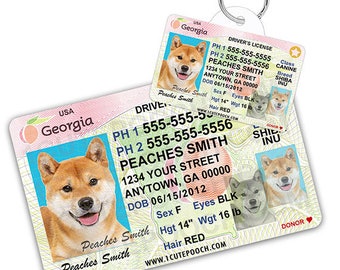 Cat driver license | Etsy