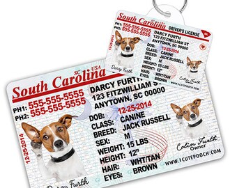 Cat driver license | Etsy