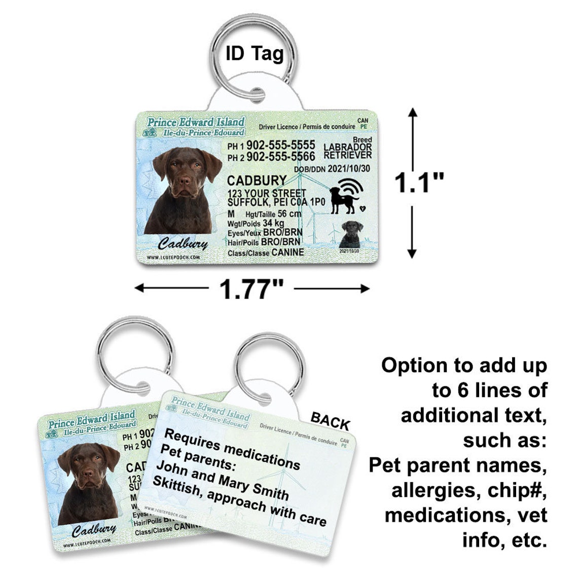 Prince Edward Island Driver License Custom Pet ID Tags - Personalized ...