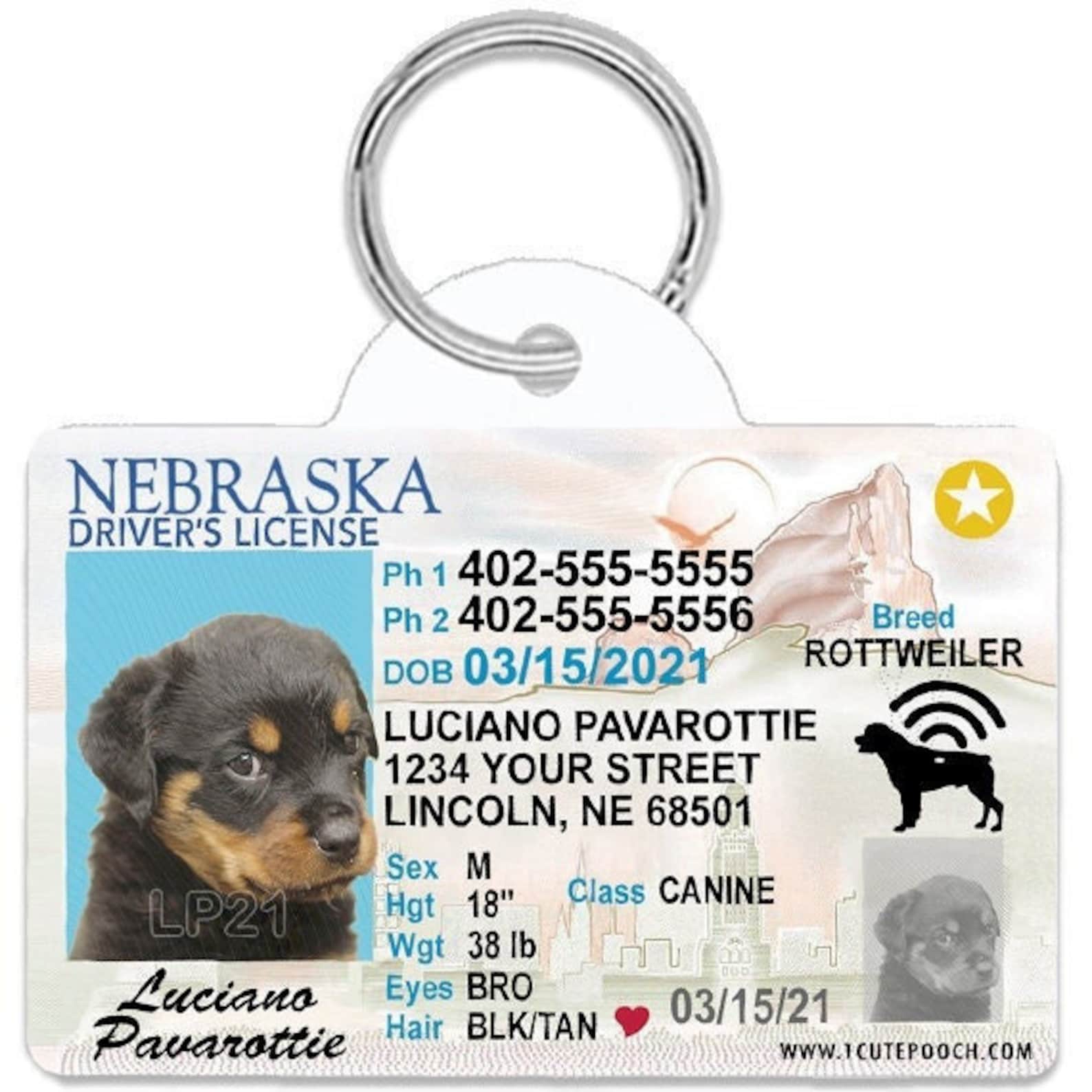 Nebraska Driver License Custom Pet ID Tags - Personalized Dog Tags ...