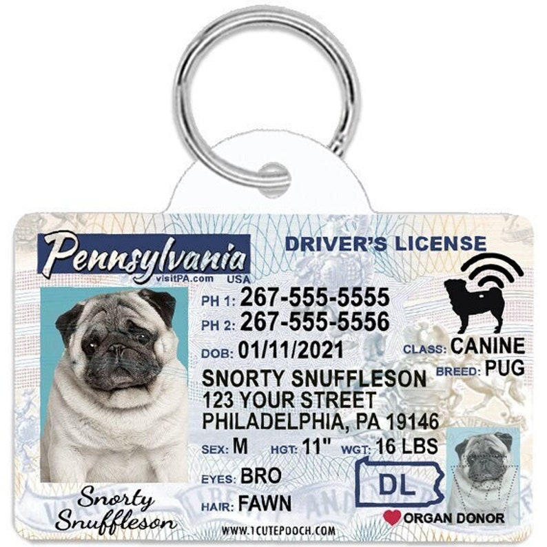 Pennsylvania Driver License Custom Pet ID Tags Personalized - Etsy