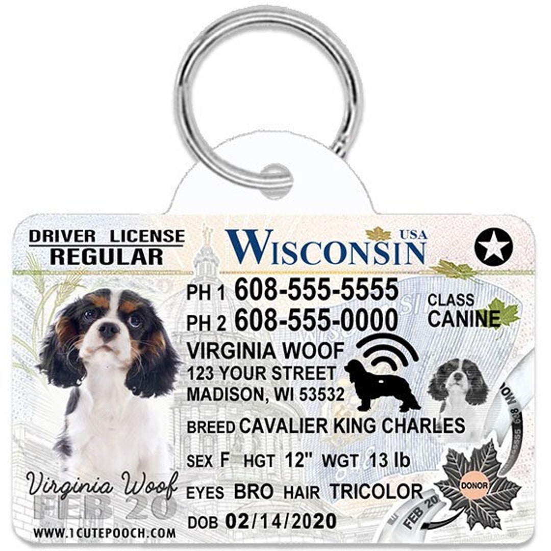 Wisconsin Driver License Custom Pet ID Tags - Personalized Dog Tags ...