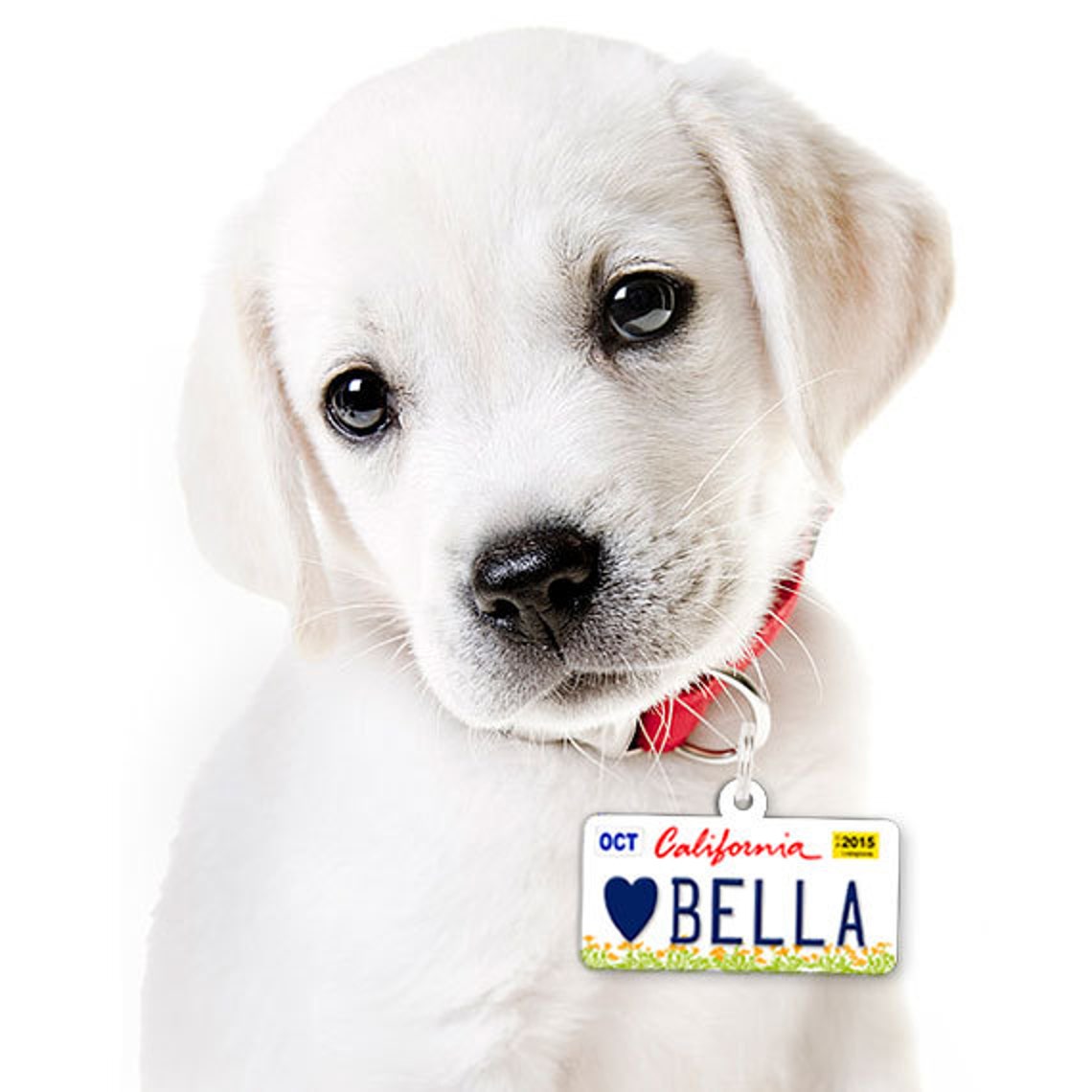 California License Plate Custom Pet ID Tag Dog ID Tag - Etsy