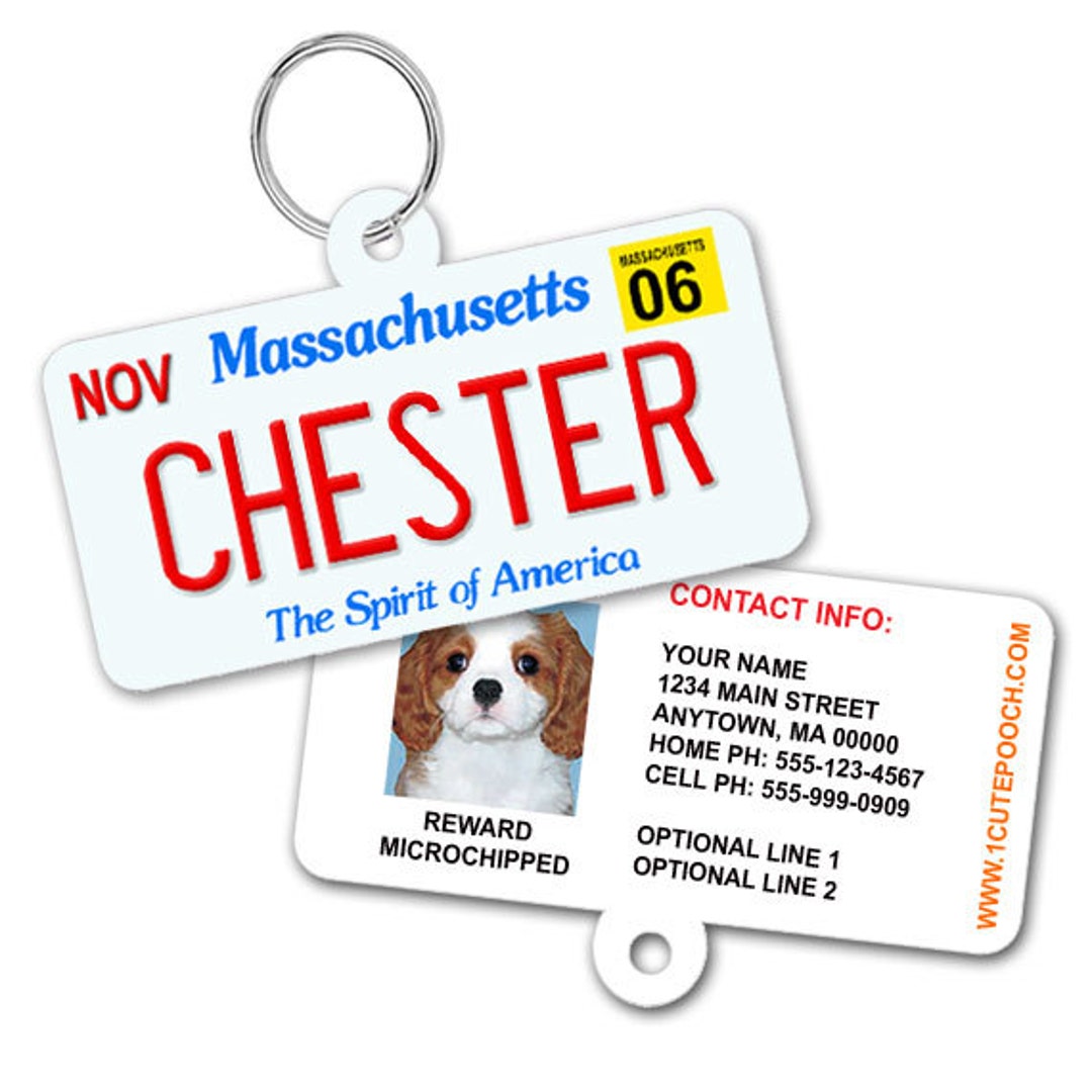 Massachusetts License Plate Custom Pet ID Tag - Dog ID Tag ...