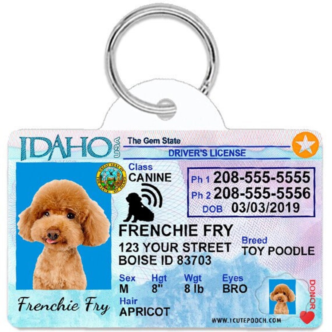 Idaho Driver License Custom Pet ID Tags Personalized Dog - Etsy