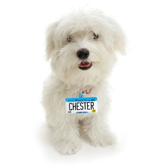 Minnesota License Plate Custom Pet ID Tag - Dog ID Tag - Personalized ...