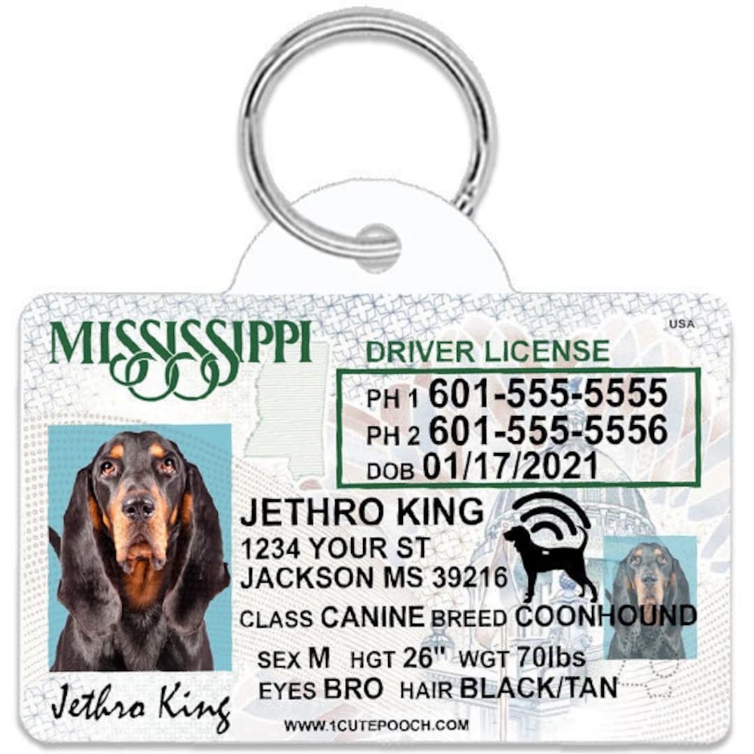 Mississippi Driver License Custom Pet ID Tags Personalized Dog Tags ...