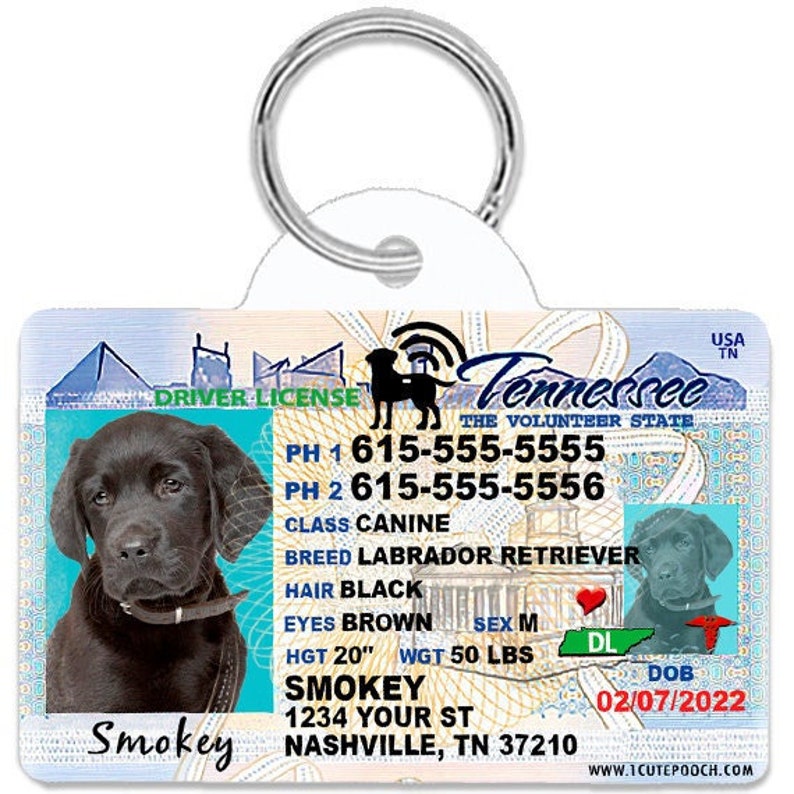 Tennessee Driver License Custom Pet ID Tags Personalized Dog - Etsy