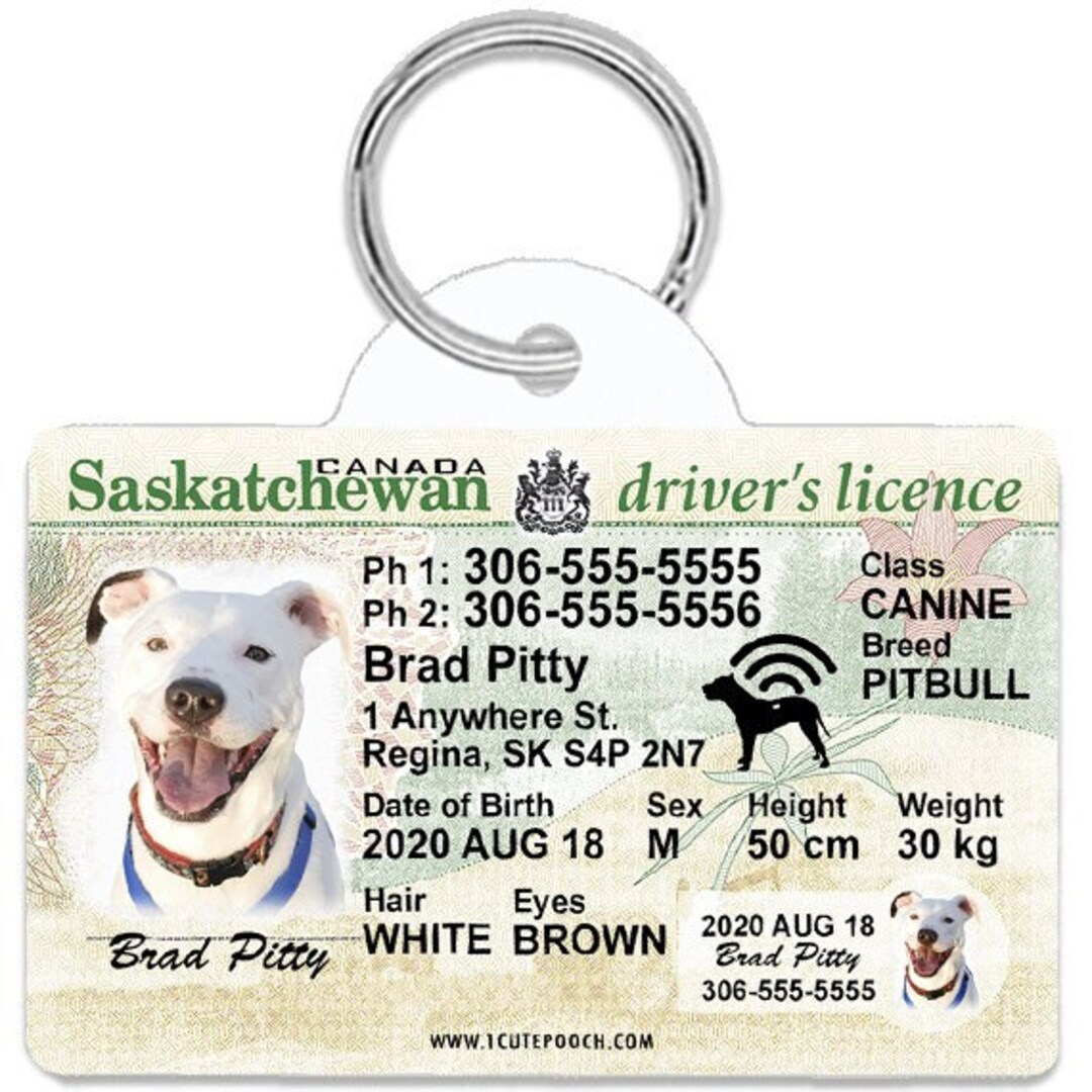 Saskatchewan Driver License Custom Pet ID Tags - Personalized Dog Tags ...