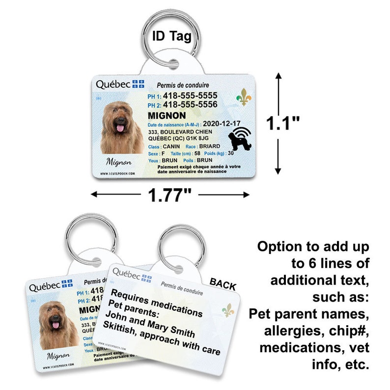 Quebec Driver License Custom Pet ID Tags Personalized Dog - Etsy