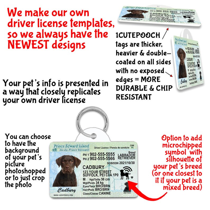 Prince Edward Island Driver License Custom Pet ID Tags - Personalized ...