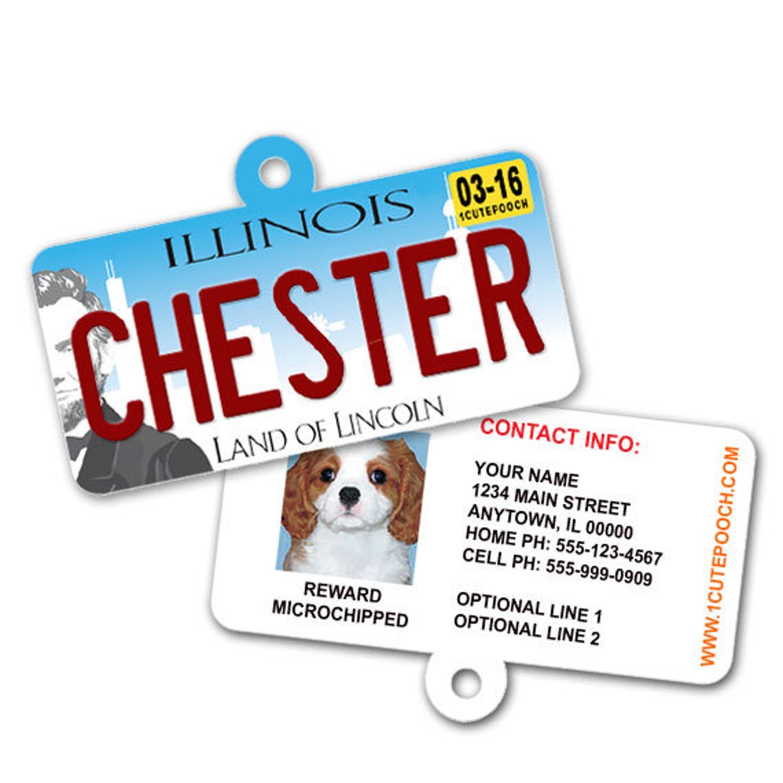 Illinois License Plate Custom Pet ID Tag Dog ID Tag | Etsy