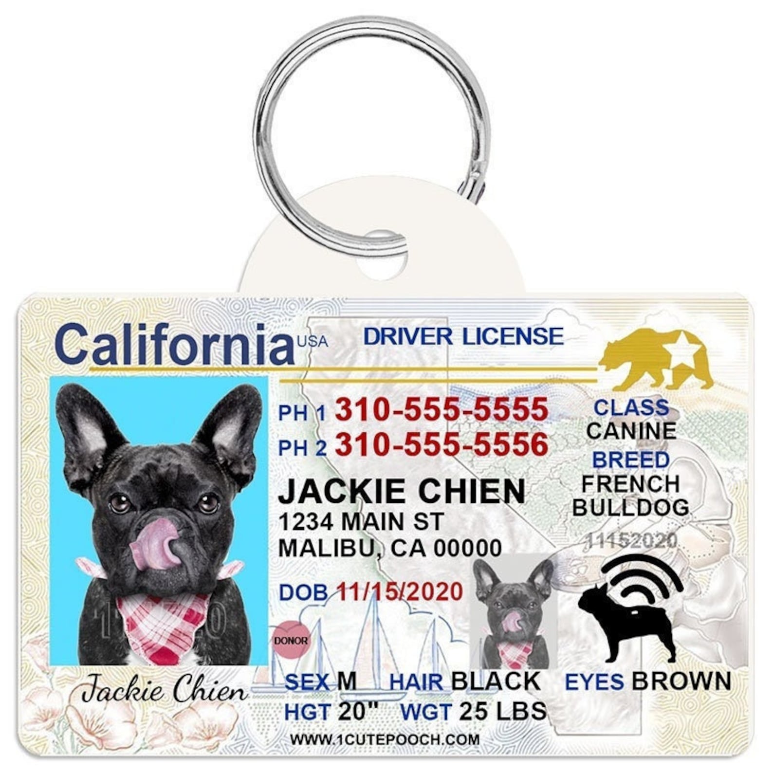 California Driver Dog Id Tag Personalized License, Durable Dog Tag ...