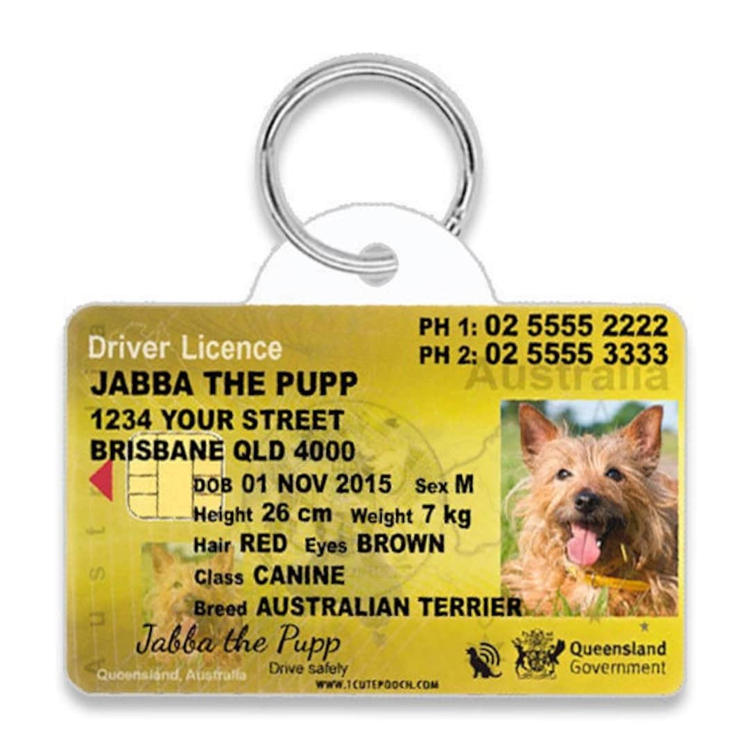 Queensland Driver License Custom Pet ID Tags - Personalized Dog Tags ...