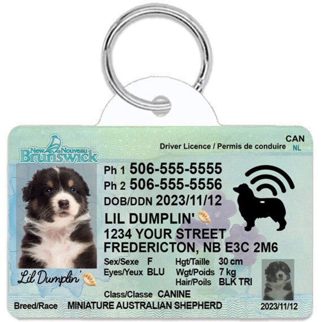 New Brunswick Driver License Custom Pet ID Tags - Personalized Dog Tags ...