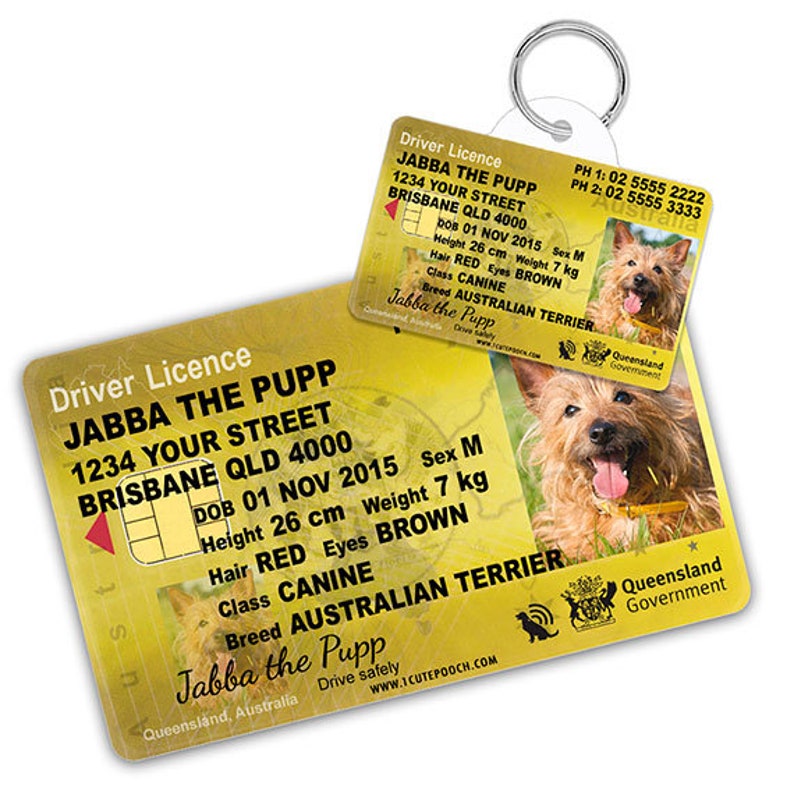 Queensland Australia Driver License Custom Pet ID Tags And Etsy Queensland Australia Driver License Custom Pet ID Tags And Etsy