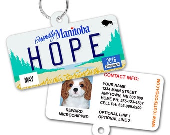 California License Plate Custom Pet ID Tag Dog ID Tag | Etsy