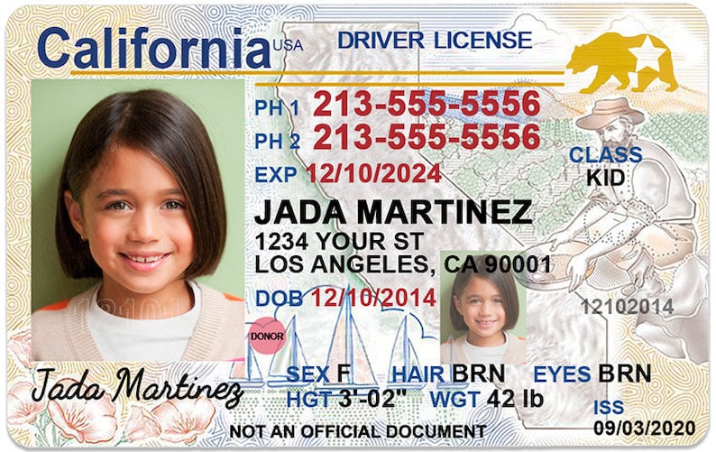 California Kid Driver License for Children Under 12 Child ID | Etsy