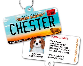 Minnesota License Plate Custom Pet ID Tag Dog ID Tag - Etsy