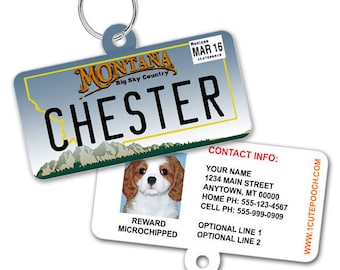 Arizona License Plate Custom Pet ID Tag Dog ID Tag Personalized Pet ID ...