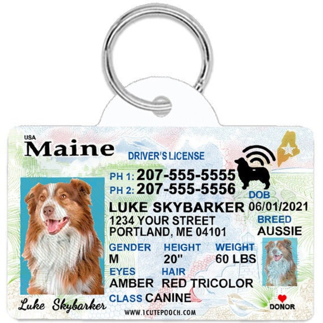 Maine Driver License Custom Pet ID Tags - Personalized Dog Tags ...