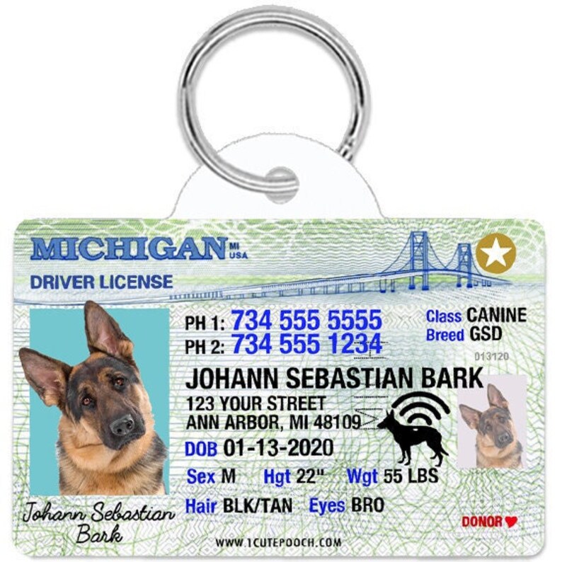 Michigan Driver License Custom Pet ID Tags Personalized Dog - Etsy