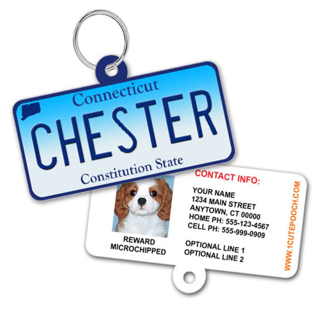 Connecticut License Plate Custom Pet ID Tag - Dog ID Tag - Personalized ...
