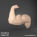 FLEX Muscular Arm Flexing 3D Papercraft Origami Model Downloadable DIY ...