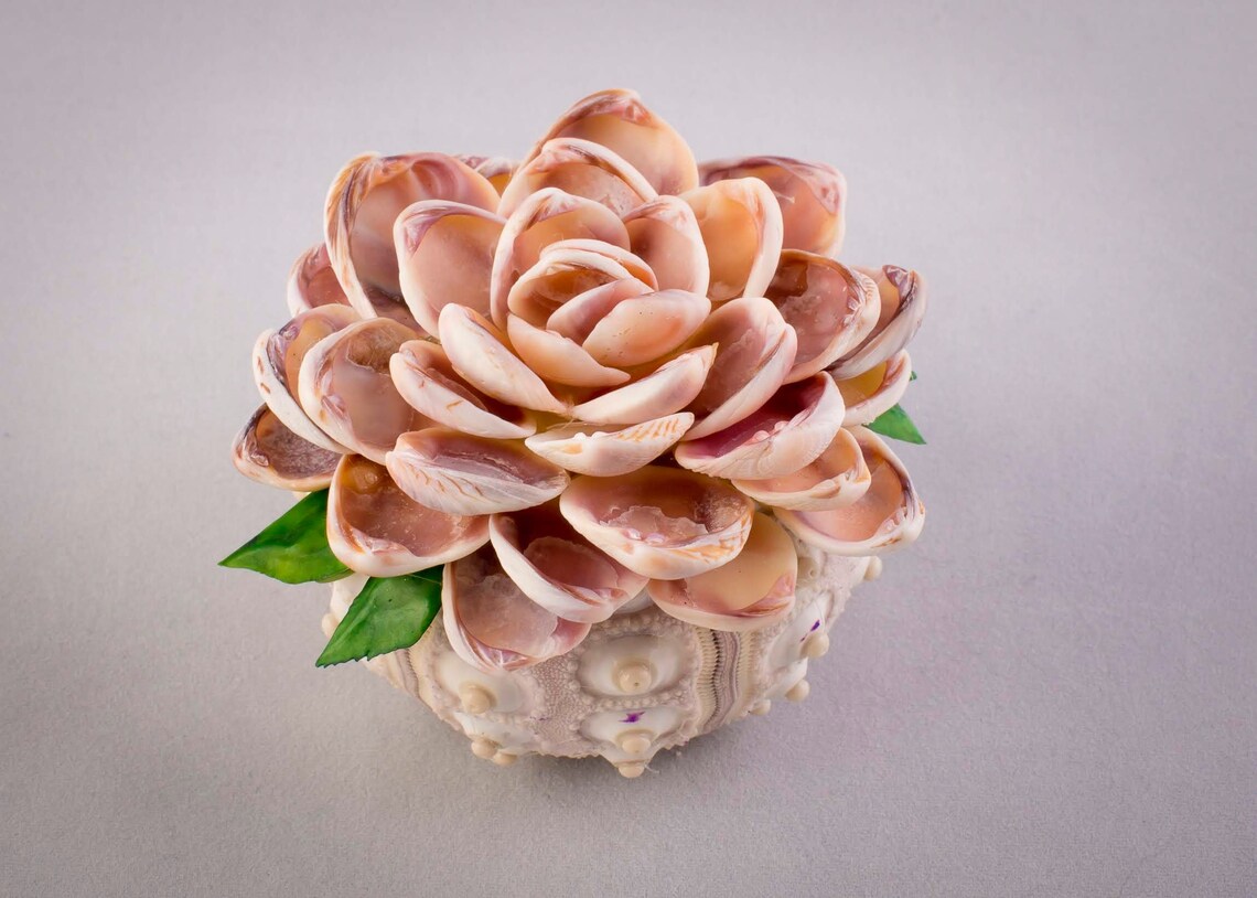 Seashell Tea Rose Flower - Etsy