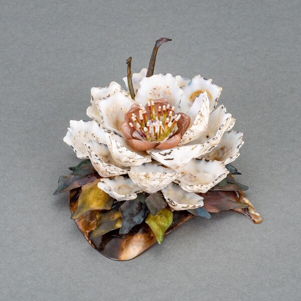 Seashell Flower - Etsy