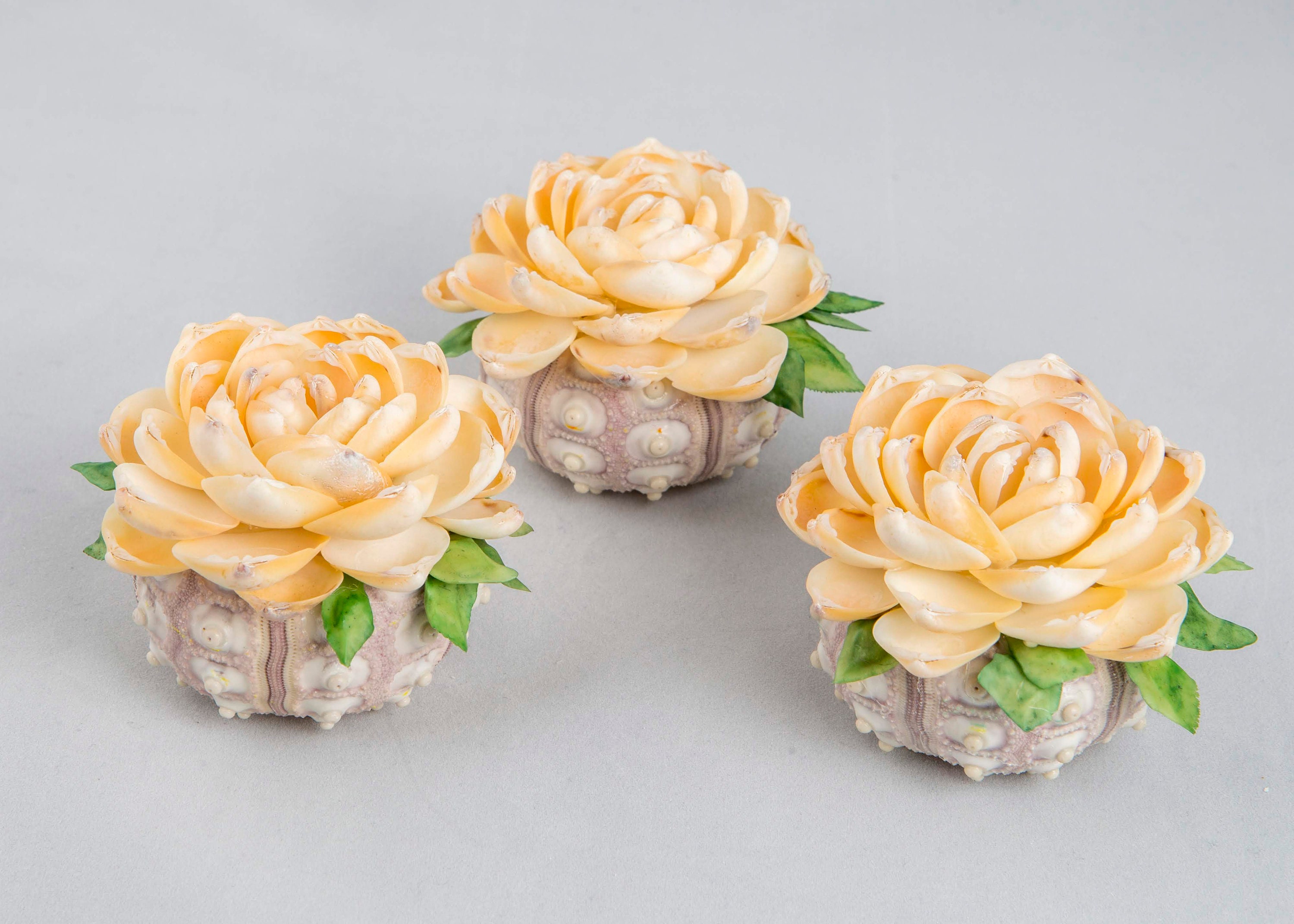 Seashell Creamy Yellow Rose Flower - Etsy